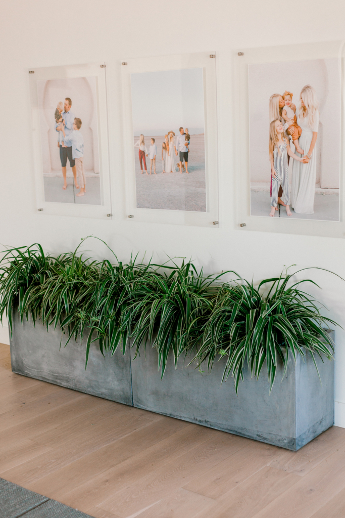 Why You Should Add Greenery In Your Home - Kailee Wright